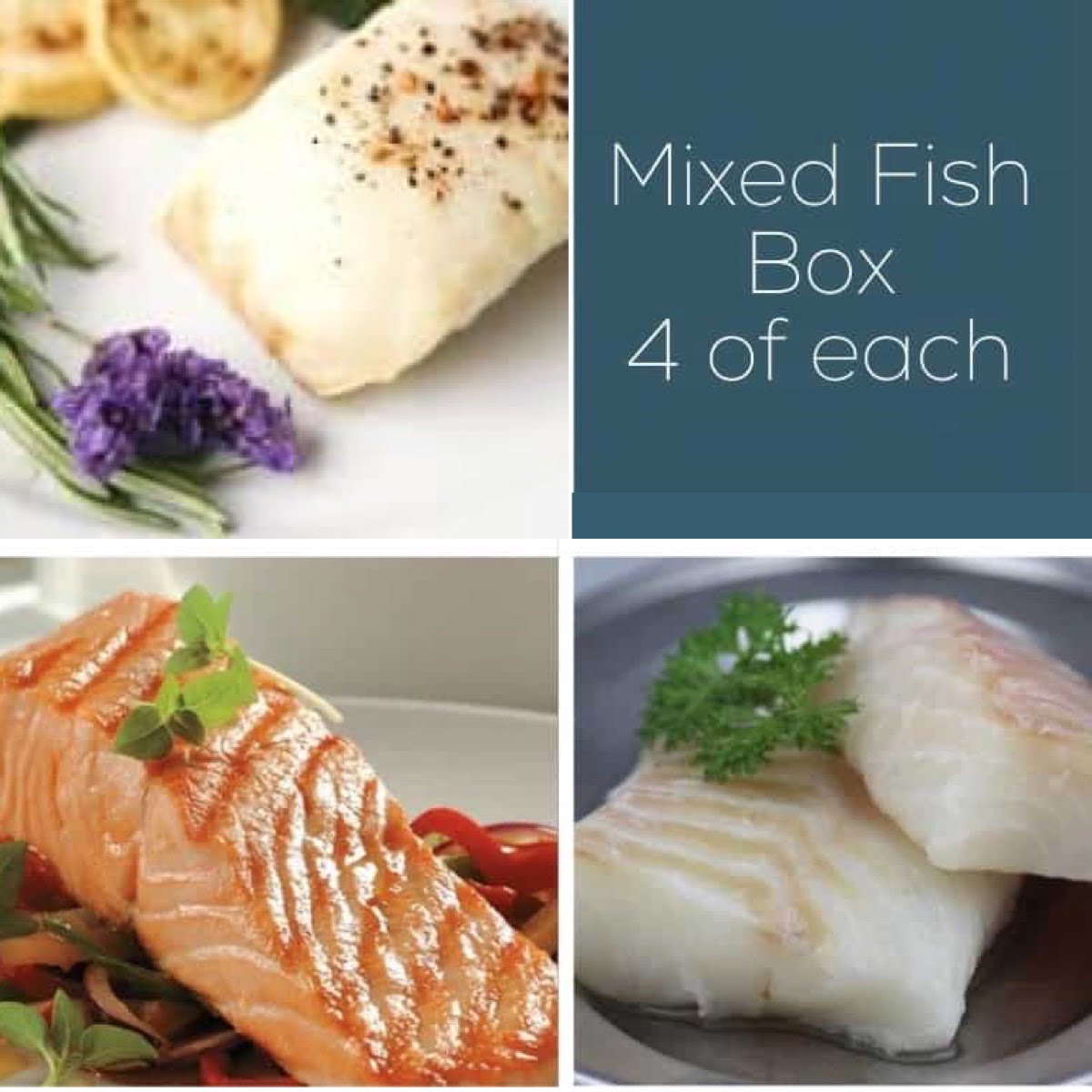 Cod, Salmon & Haddock Fish Box - 12 portions - Seafresh - The Online ...
